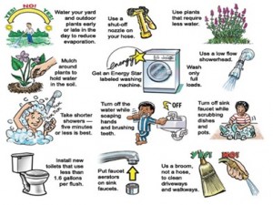 Go Green | Environmental Protection - HealthyLife