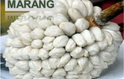 Gadget News| Latest Gadget Reviews - WeRIndia