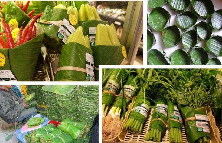 Banana leaves for food packaging - HealthyLife | WeRIndia