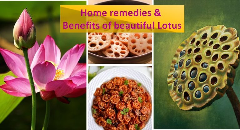 Lotus health benefits and remedies - HealthyLife | WeRIndia