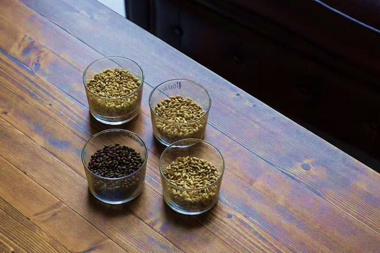 Benefits of Sattu Powder - Nutrient Powder House - HealthyLife | WeRIndia