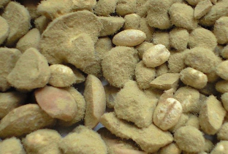 Aflatoxins Mycotoxin - HealthyLife | WeRIndia