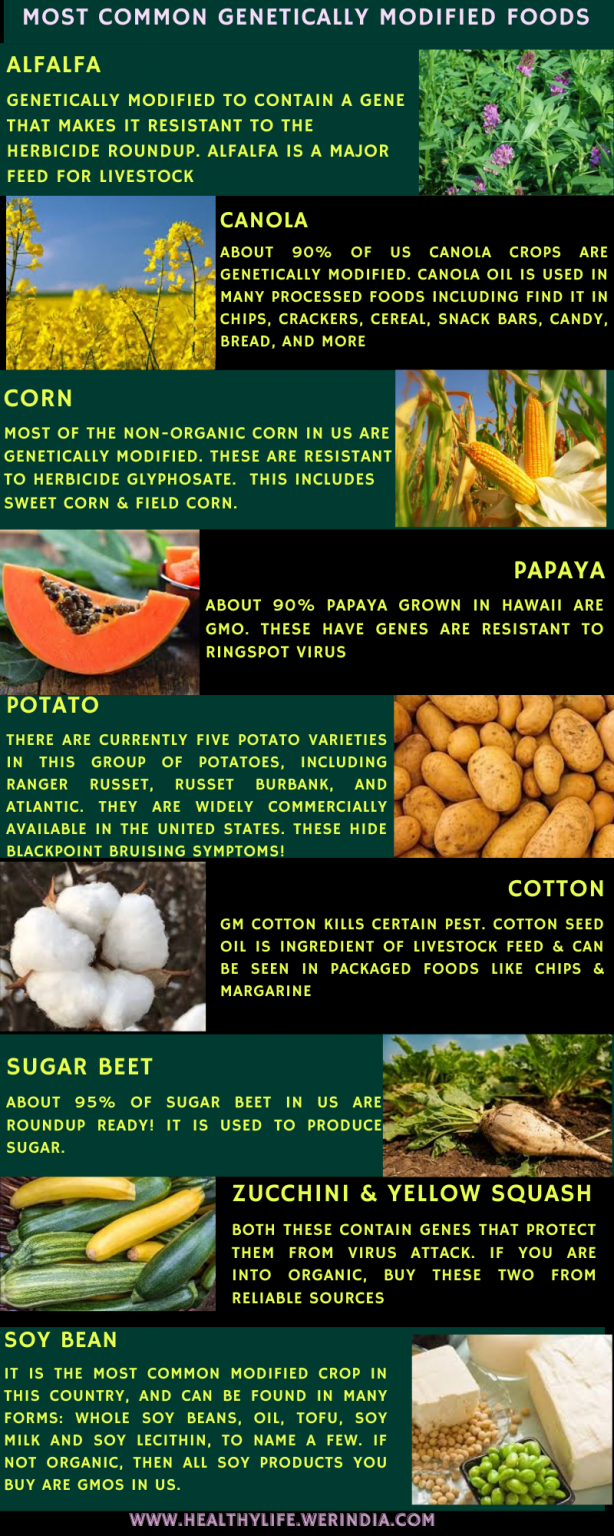 Most Common Genetically Modified Foods - HealthyLife | WeRIndia