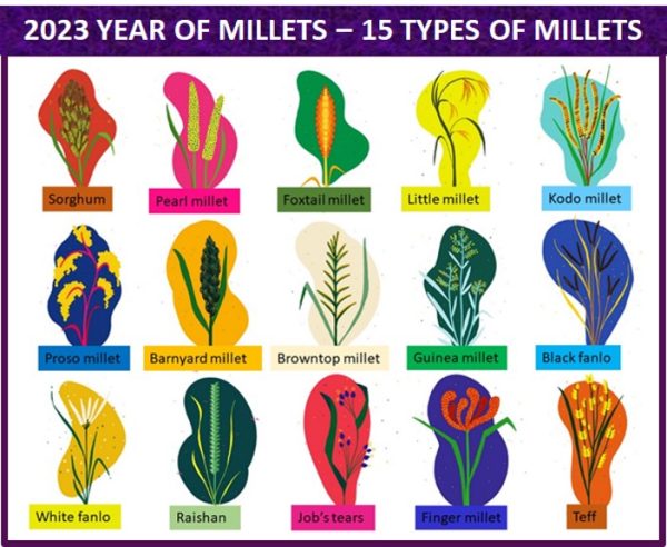 2023 Year Of Millets - Healthy Millets, Healthy Life - HealthyLife ...