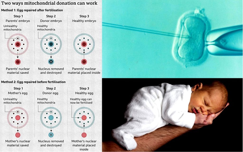 Three People Babies – Baby With DNA From Three Persons Born In UK ...